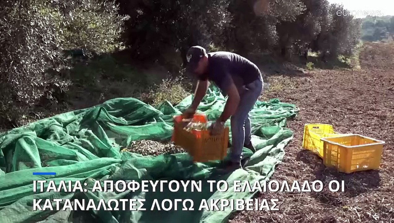 Ιταλία: Οι καταναλωτές αποφεύγουν το ελαιόλαδο λόγω ακρίβειας (έρευνα ...