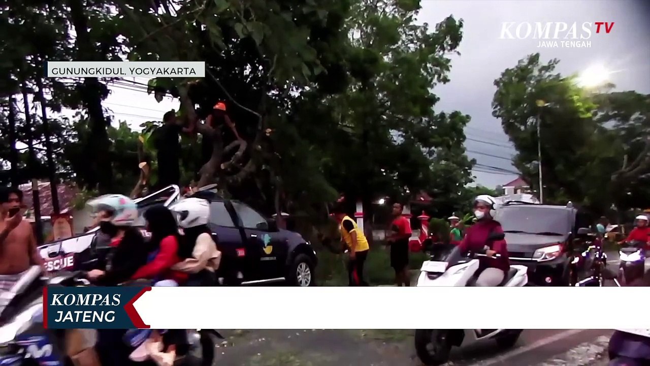 Pohon Tumbang Timpa Mobil Tagana, 1 Penumpang Terluka - Video Dailymotion