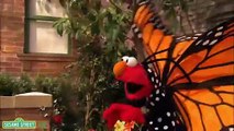 Elmo's Butterfly Friend | Sesame Street Full Episode. - video Dailymotion