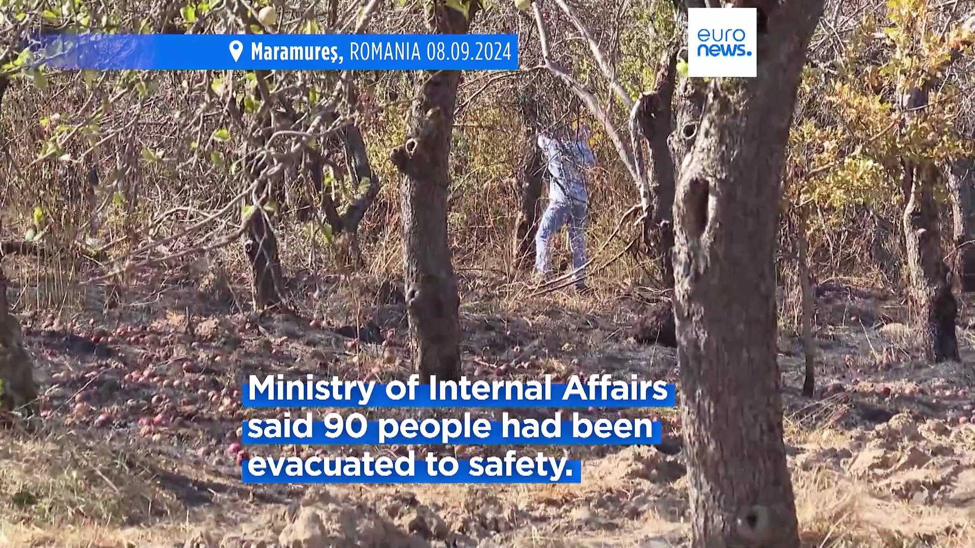 Residents in northern Romania survey damage after massive fire is ...