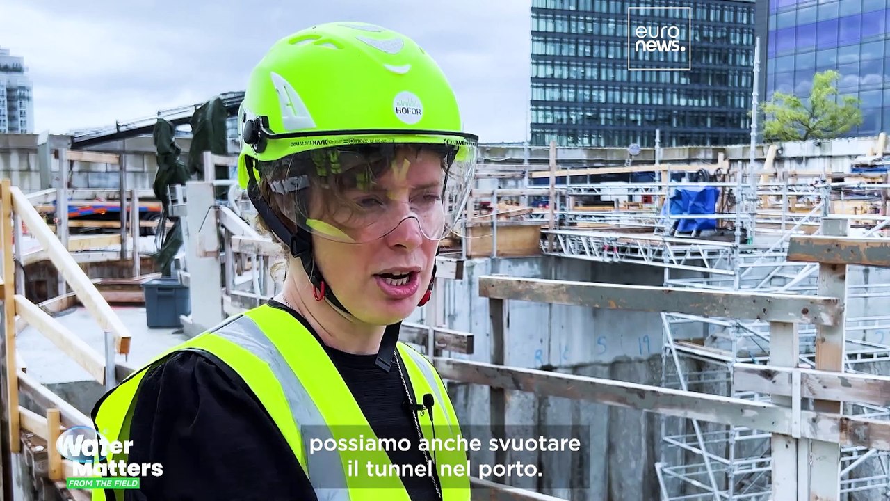 Resilienza climatica: Copenaghen, il sogno di una città a prova di ...