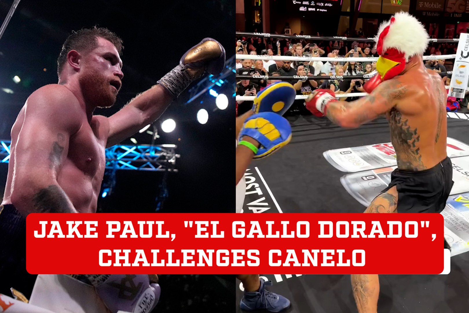 Jake Paul forcefully challenges Canelo Alvarez: 'You can run, but you ...