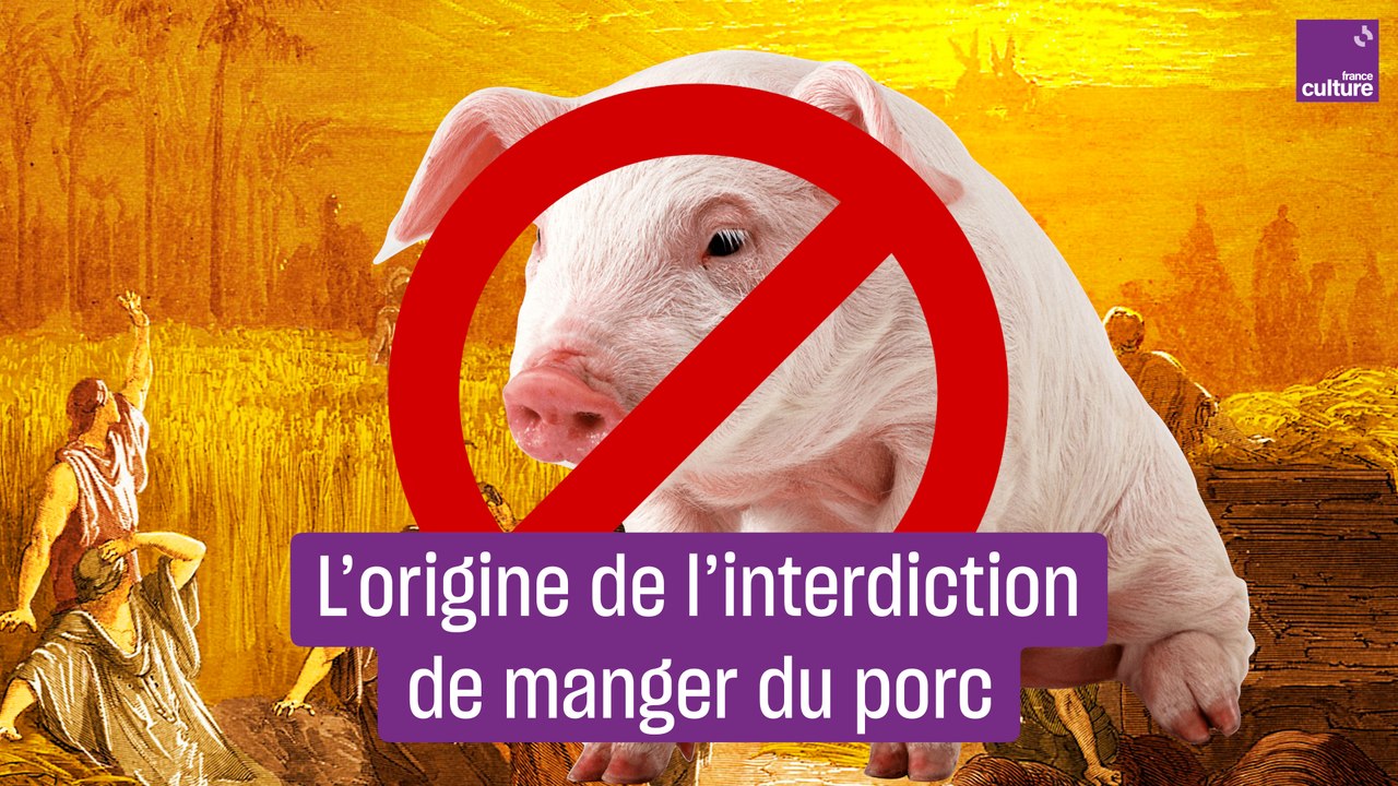Mais d'où vient à l'origine l'interdiction de manger du porc ? - Vidéo ...