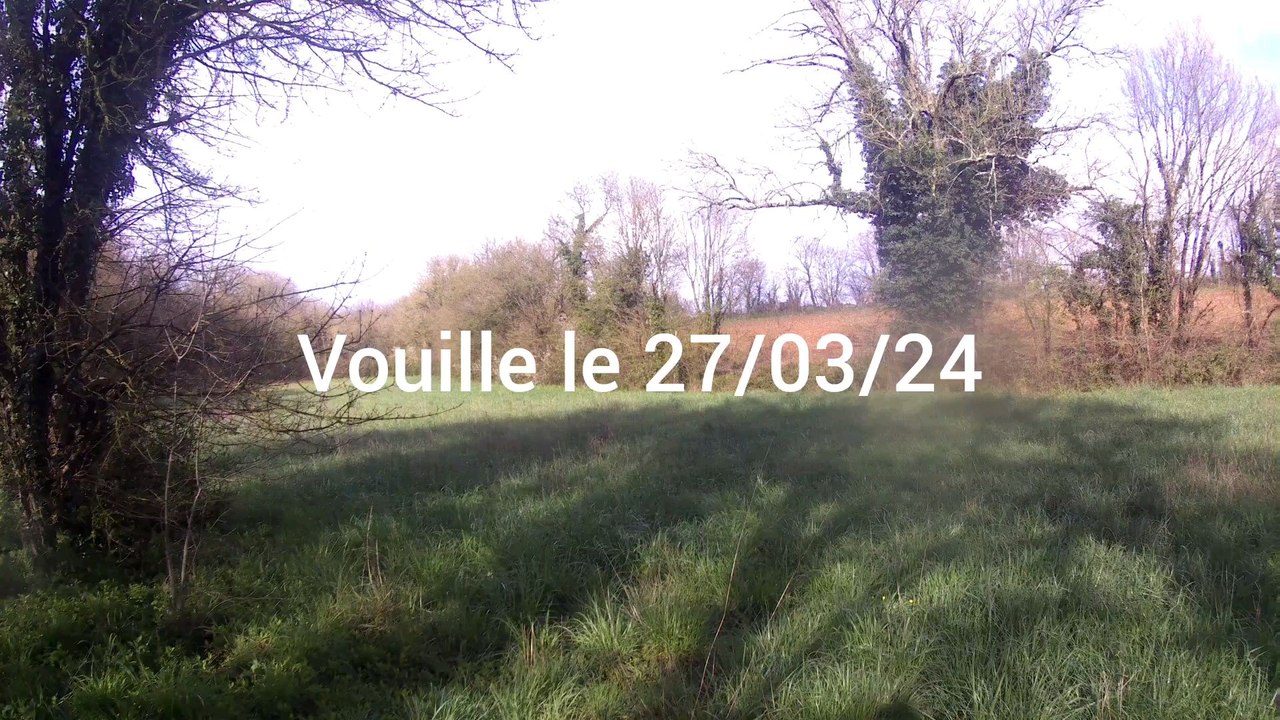 vouille 79 - Vidéo Dailymotion