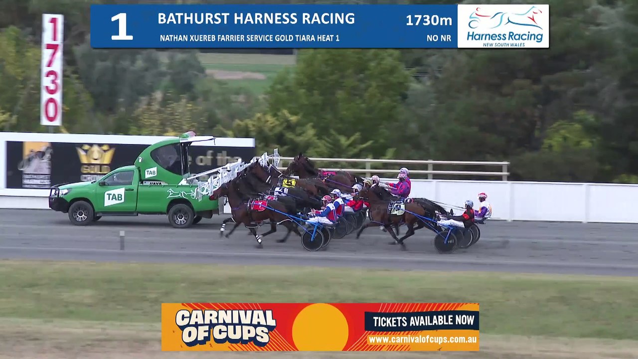 Personified qualifies for Bathurst Gold Tiara final - video Dailymotion