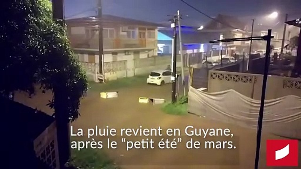 Guyane : la saison des pluies reprend ses droits - Vidéo Dailymotion