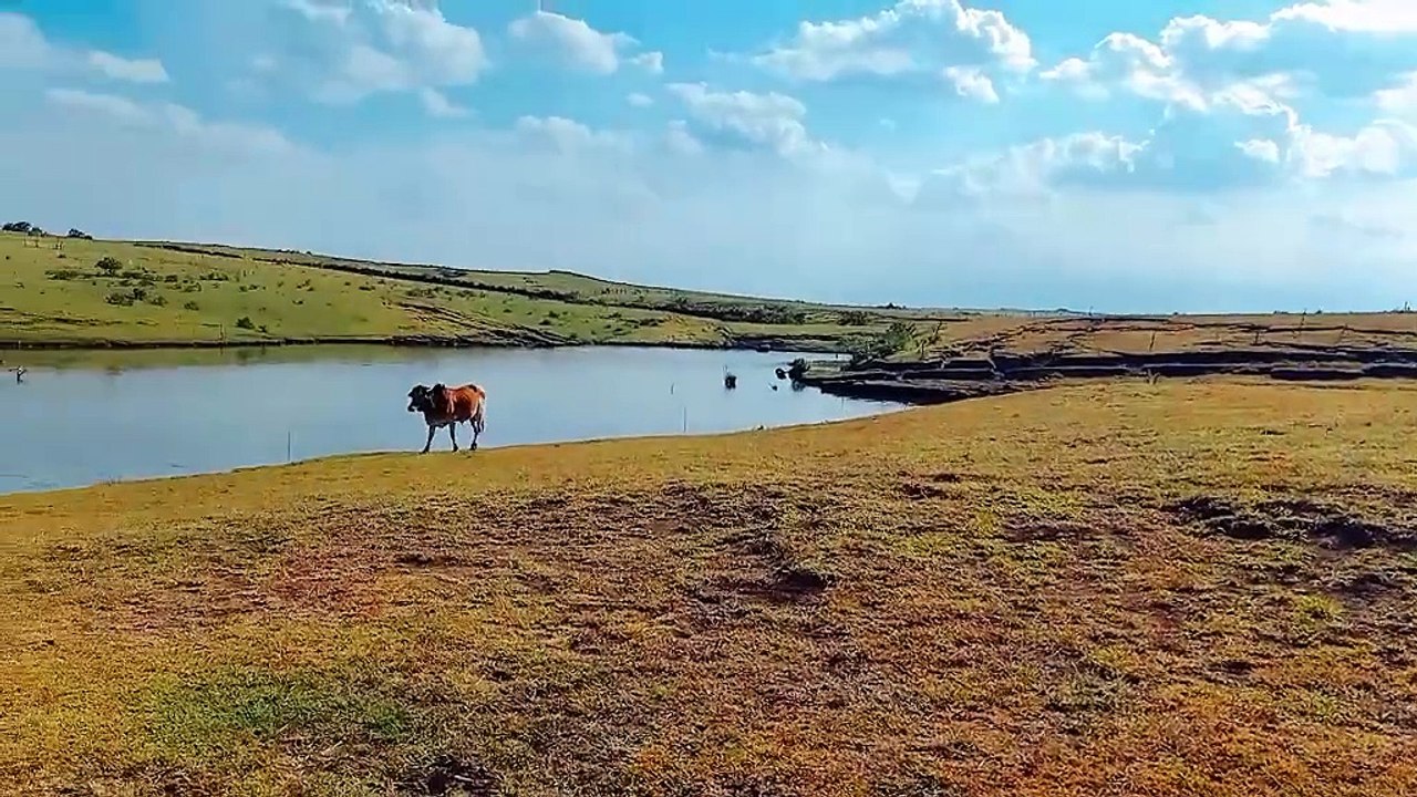 The Bulo lake Tabuk city, kalinga - video Dailymotion
