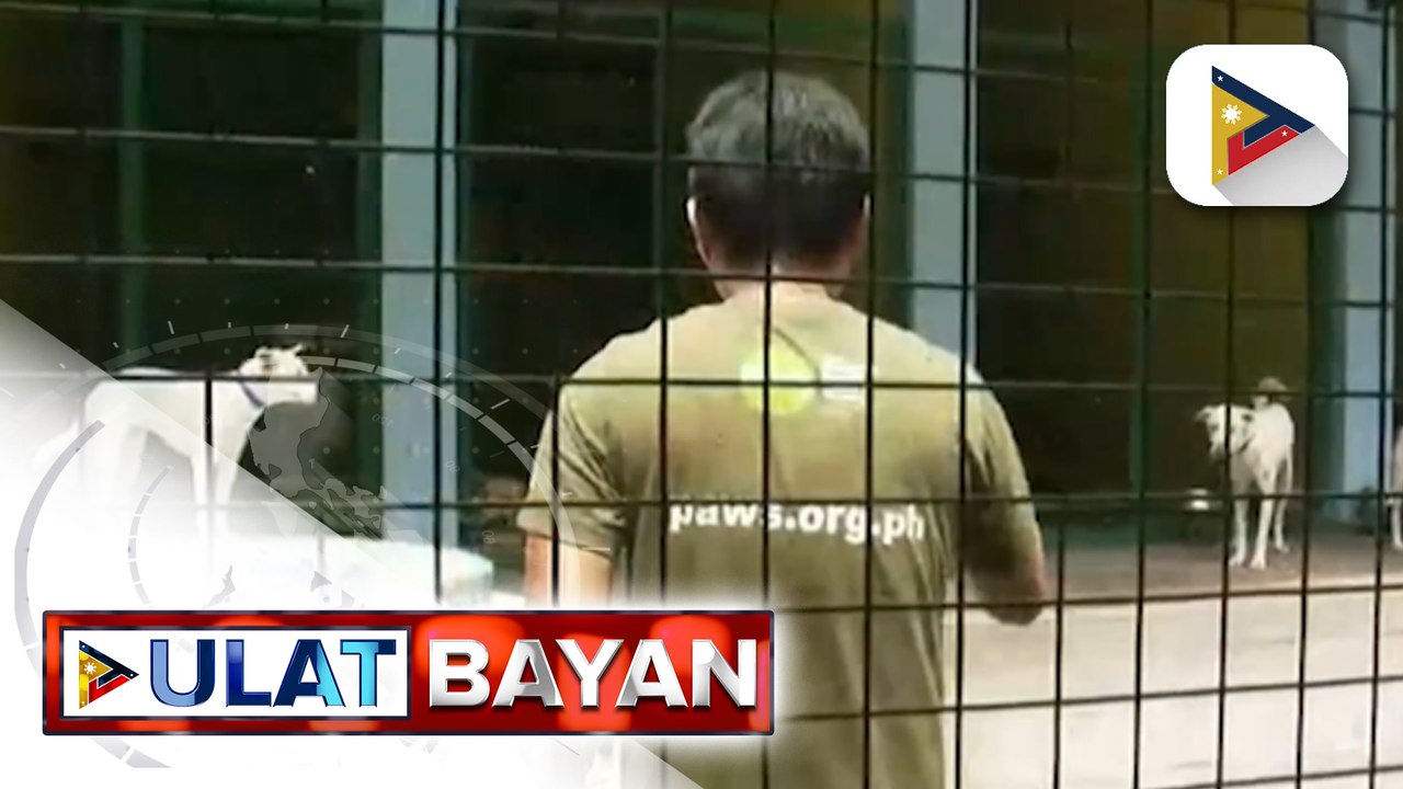 Aso, maaari ring makaranas ng heat stroke sa gitna ng matinding init na ...