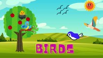 Kids' Educational Animations by Billy Billy Tv - Dailymotion