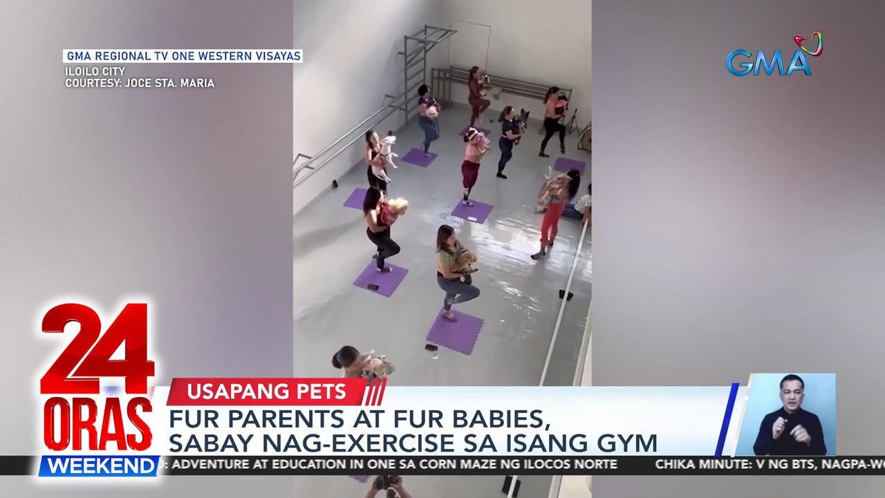 Fur parents at fur babies, sabay nag-exercise sa isang gym | 24 Oras ...