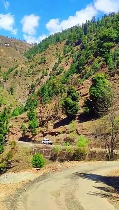 Haray haray song short video - video Dailymotion