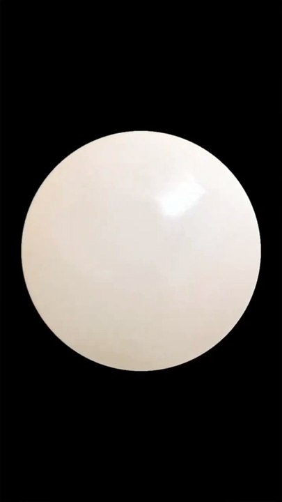 ¡Pedro, Pedro, Pedro...! el video viral del mapache bailando la ...