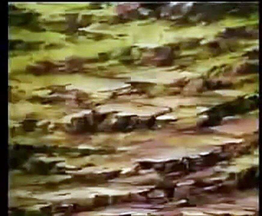 David el Gnomo (final de la serie) - Vídeo Dailymotion