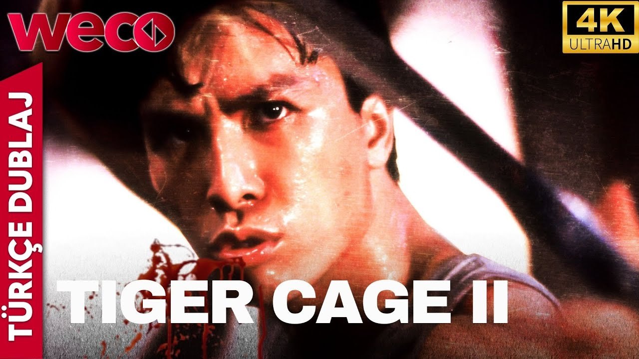 Kaplan Kafesi 2 (Tiger Cage II) 1990 | TÜRKÇE DUBLAJLI | 4K | DONNİE ...