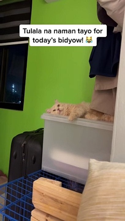 Tulala - video Dailymotion