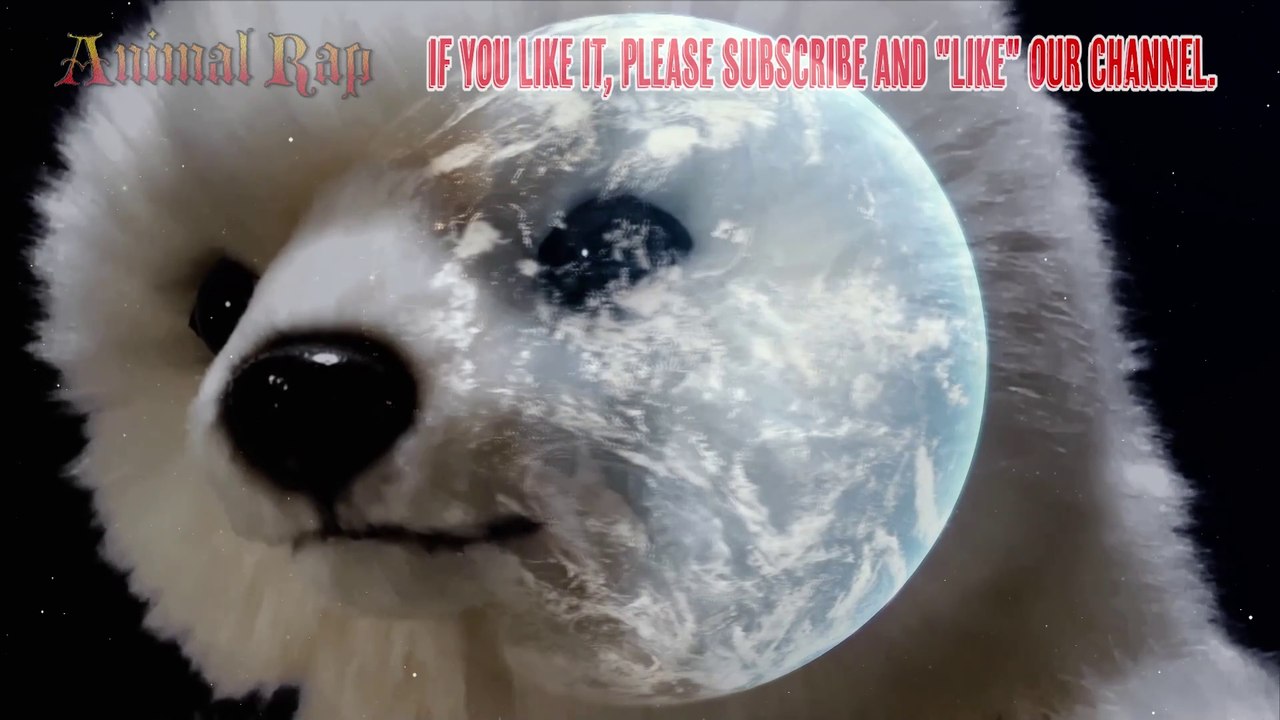 AnimalRap #10 - video Dailymotion