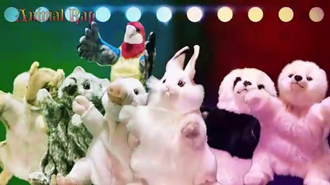 AnimalRap #08 - video Dailymotion