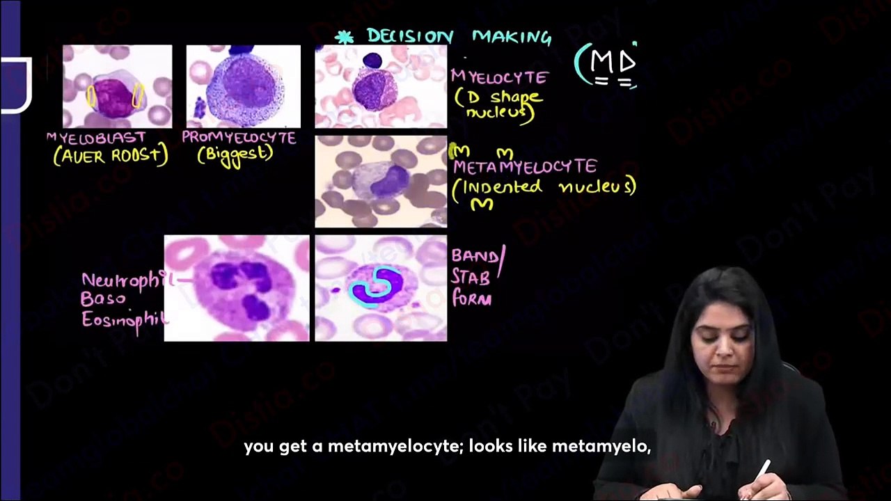 Hematology // white blood cell // pathology - video Dailymotion