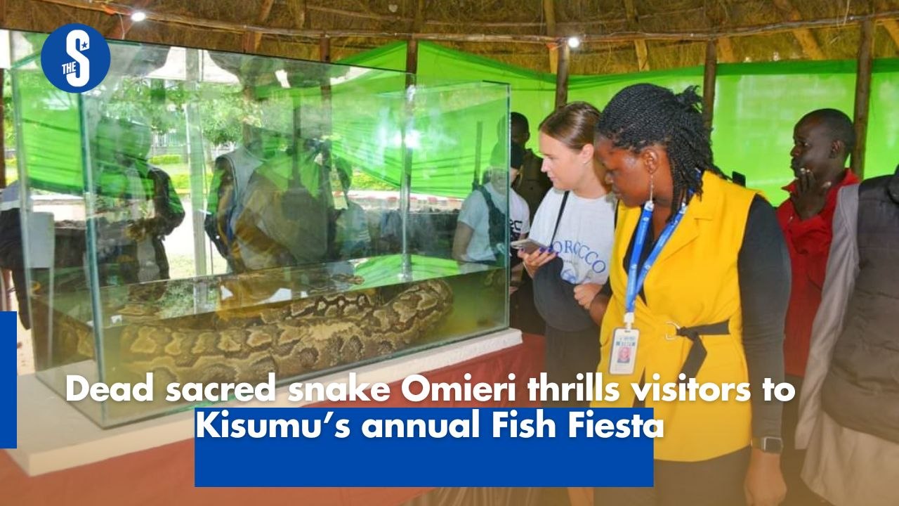 Dead sacred snake Omieri thrills visitors to Kisumu’s annual Fish ...