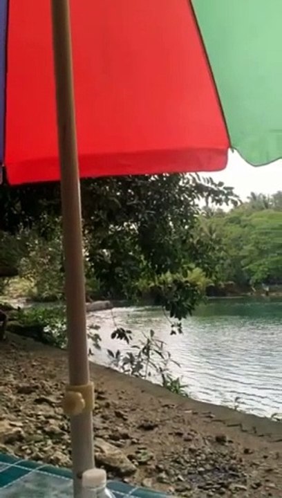 Cold Spring bugac - video Dailymotion