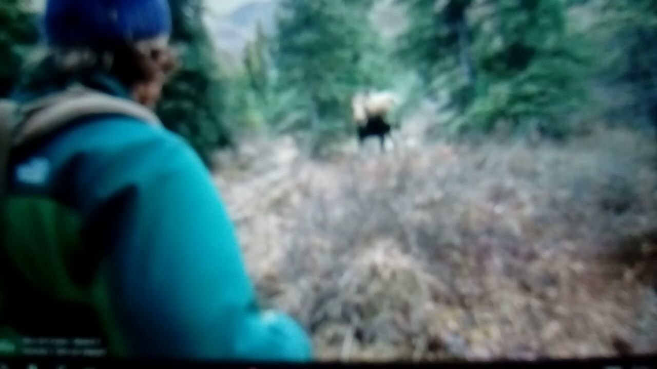 Mon ami Casey S04E03 - Vidéo Dailymotion