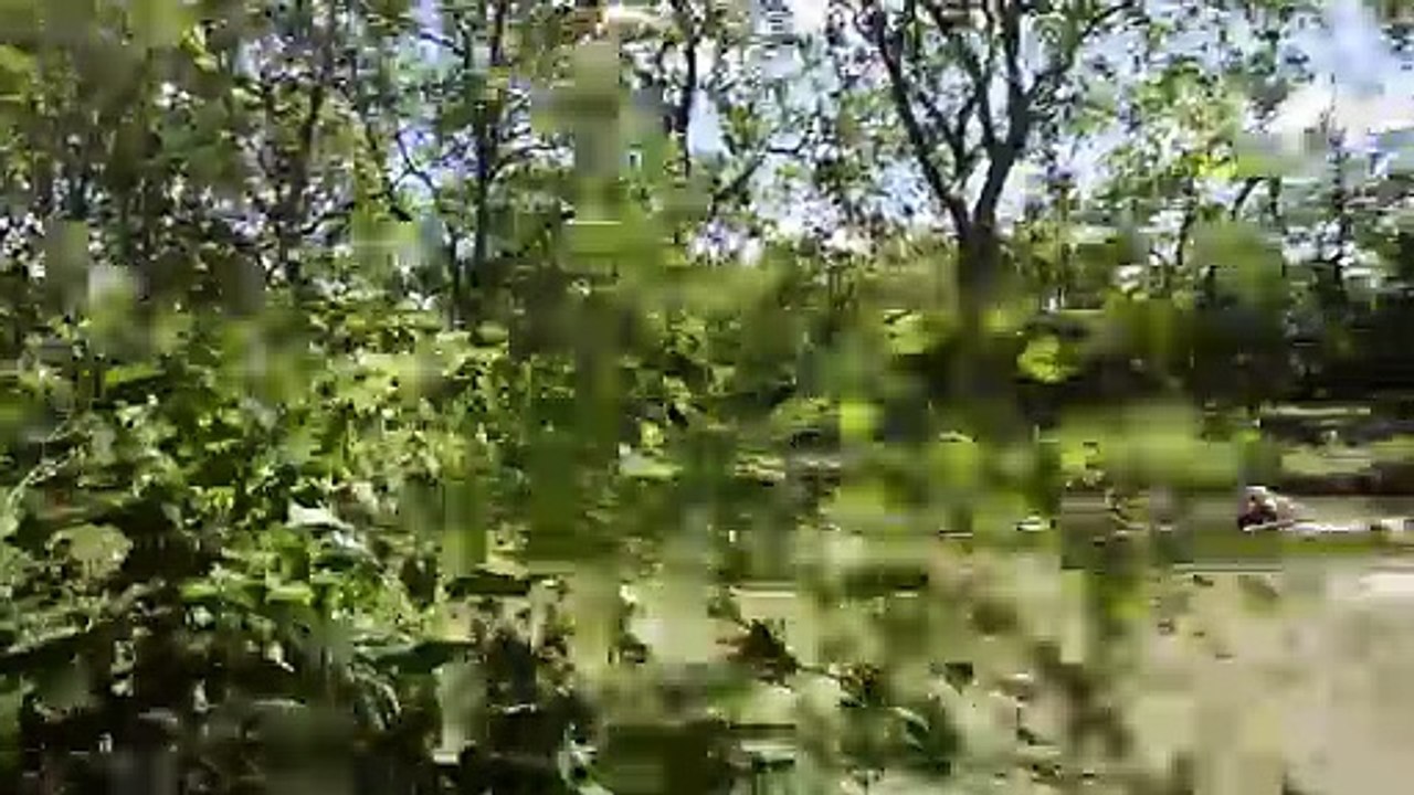 Yolette 4 avec barreur bertrand juliette aline david et marc barreur ...