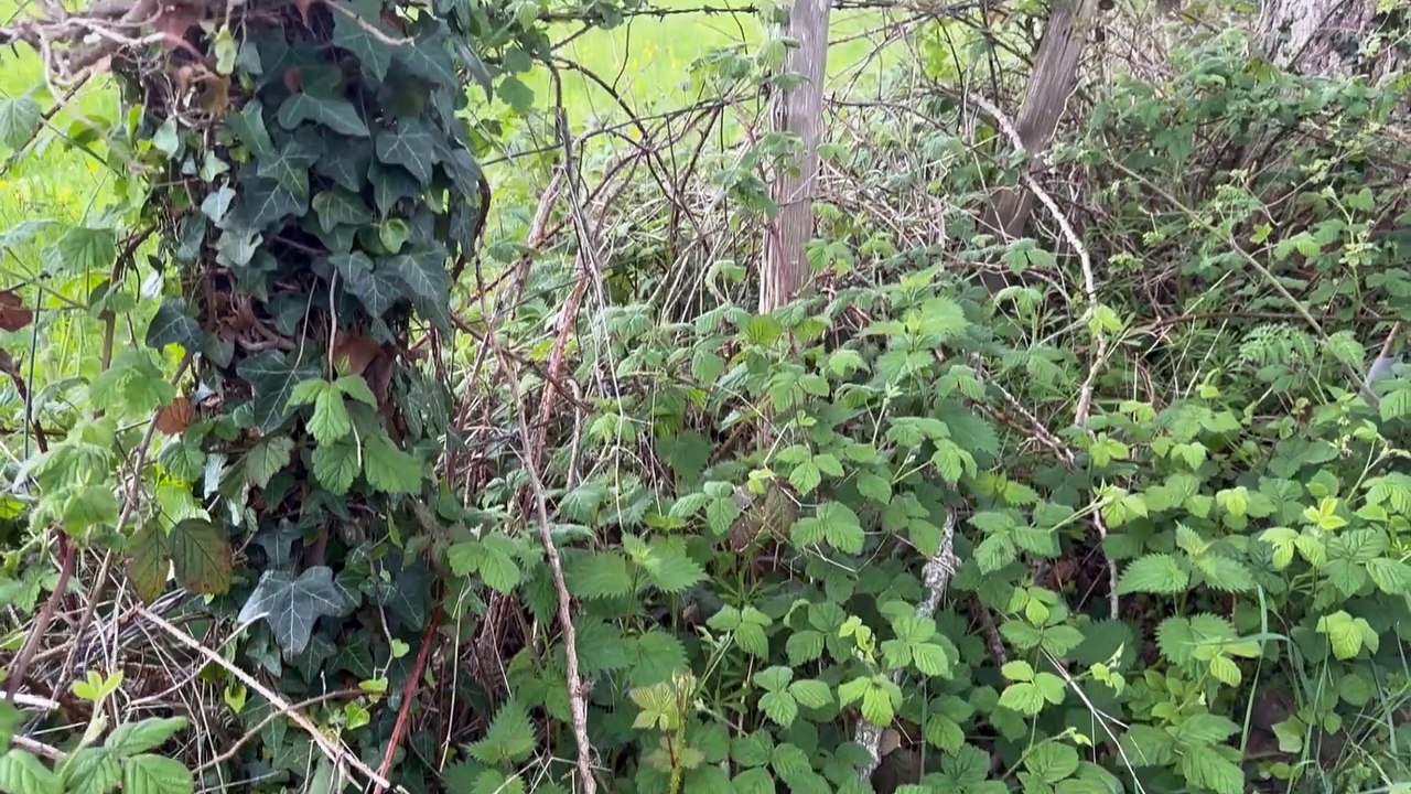 Ryarsh villagers fight another quarry proposal - video Dailymotion