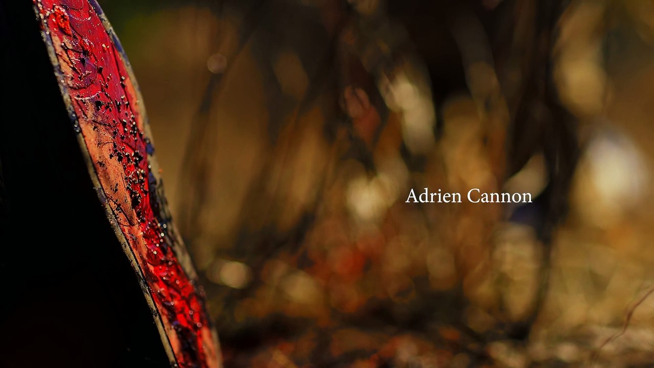 Watch Free Chasing Raine Full Movies Online HD - video Dailymotion