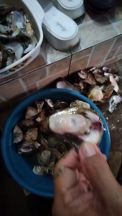 Talaba shells - video Dailymotion