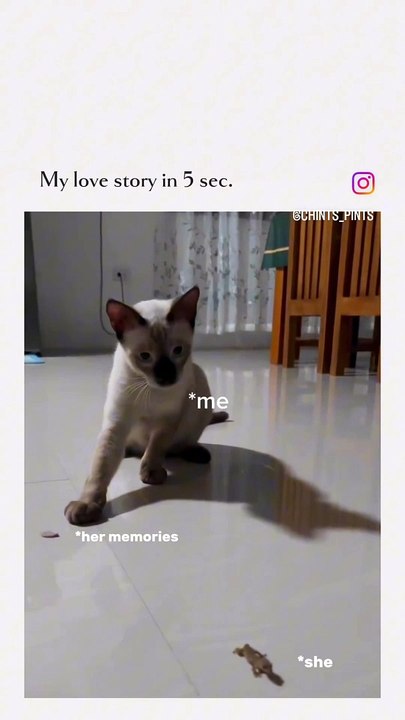 Sad relationship memories meme - video Dailymotion