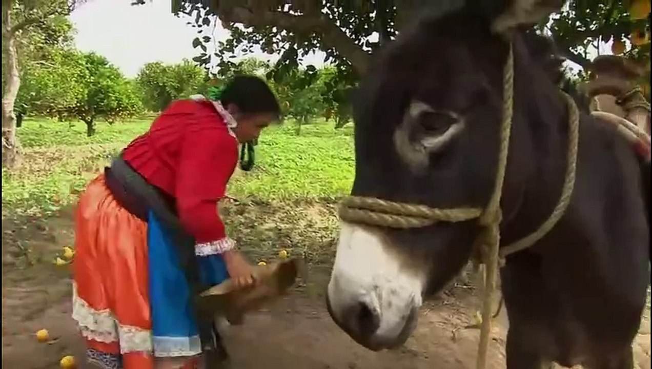 Corazón indomable Capítulo 1 - Vídeo Dailymotion