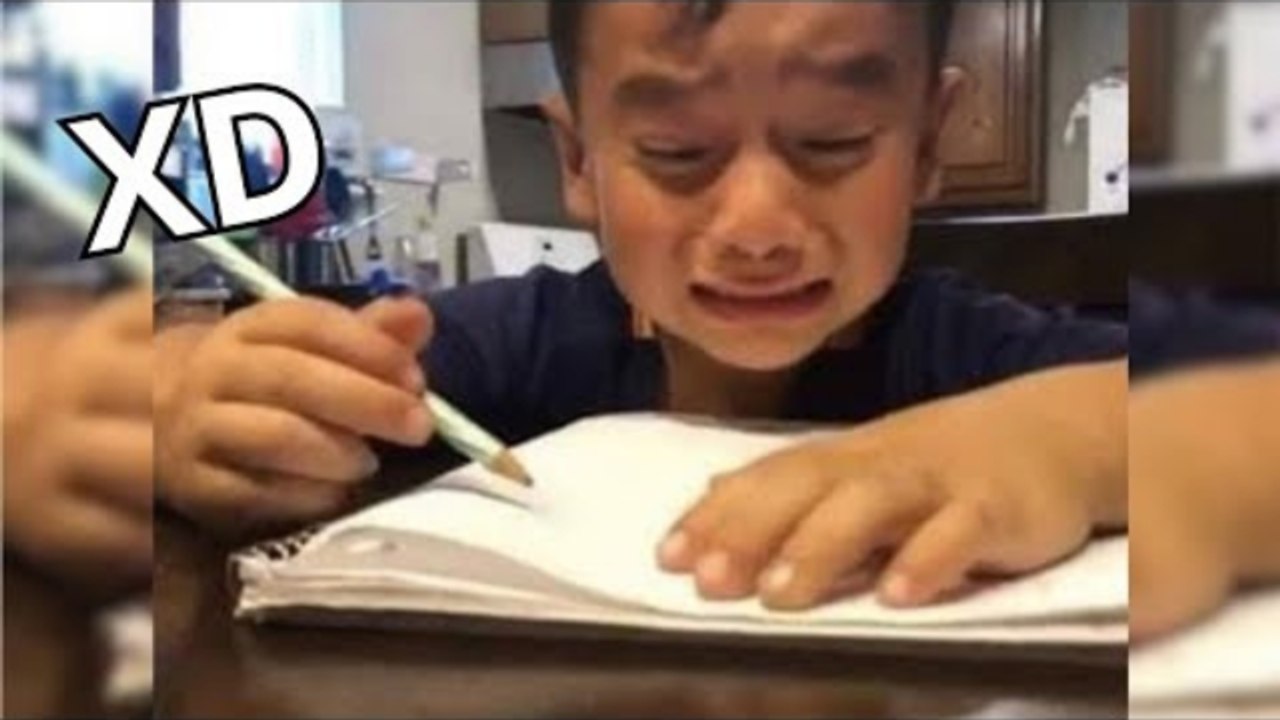 Videos de risa 2024 - TRY NOT TO LAUGH - Videos De Risa Muy Graciosos ...