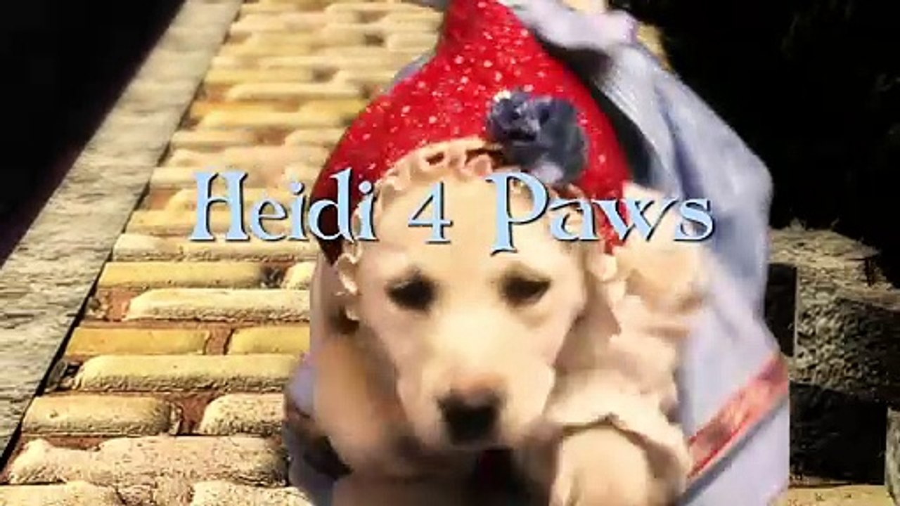 Heidi 4 Paws Trailer - Vídeo Dailymotion