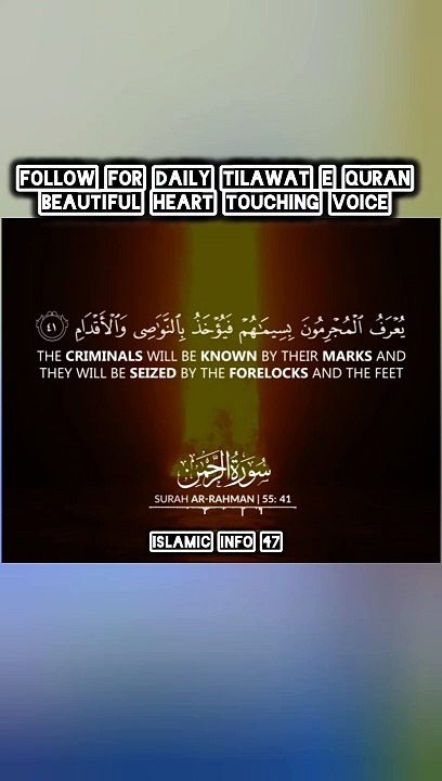 Quran paak short|| Tilawat e Quran|| Amazing shorts and Clips|| Viral Book of islam|| Arabic ...