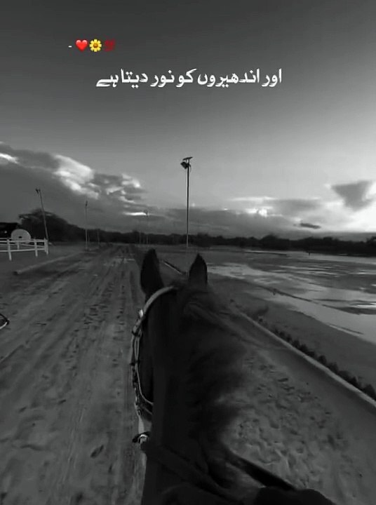 EMAN Rajput - video Dailymotion