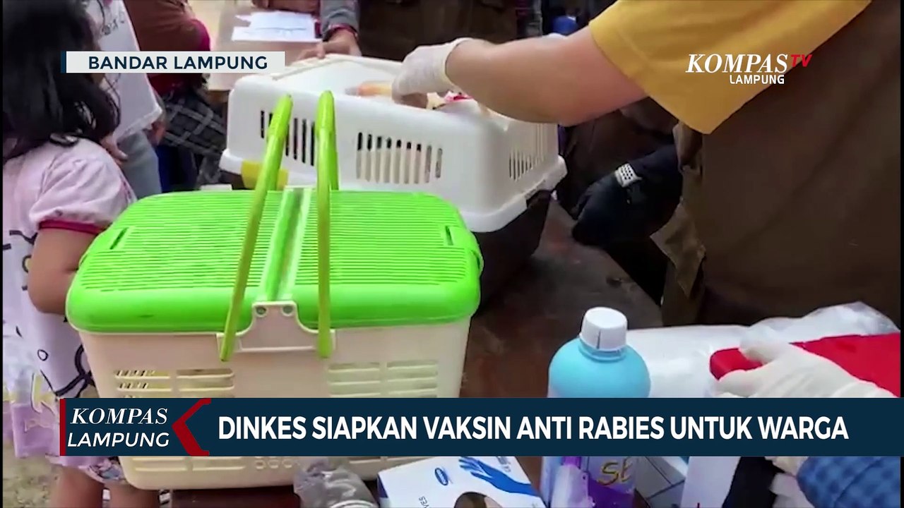 Dinkes Siapkan Vaksin Anti Rabies untuk Warga - Video Dailymotion
