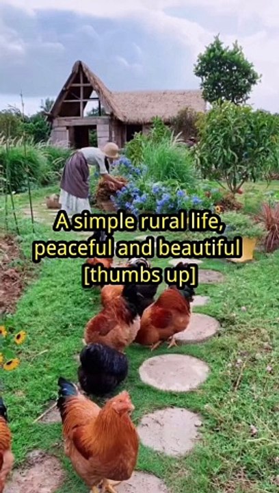 A simple rural life, peaceful and beautiful [thumbs up]─影片 Dailymotion