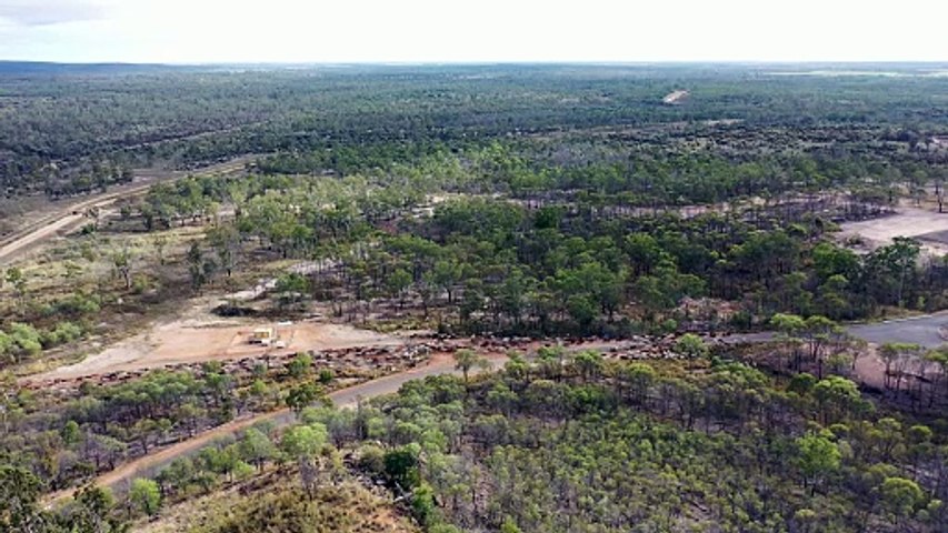 Droving round Fairbairn Dam | Queensland Country Life | Queensland Country Life | QLD