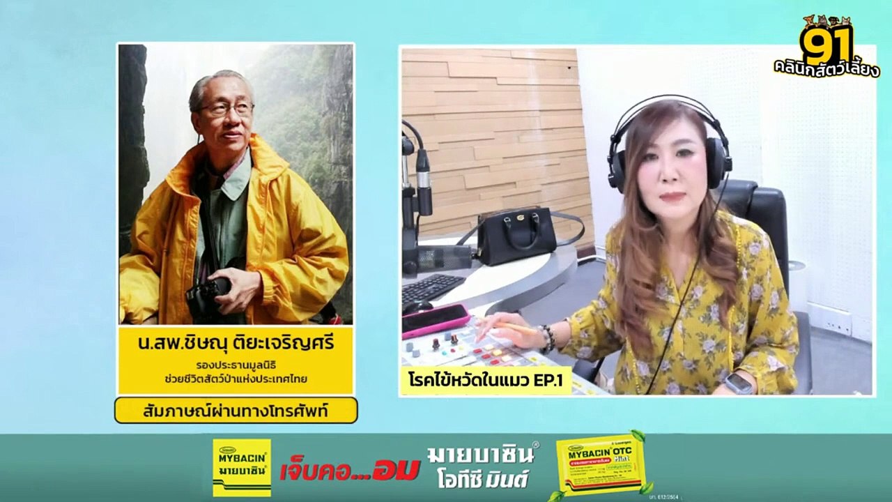 โรคไข้หวัดในแมว EP.1 : FM91 คลินิกสัตว์เลี้ยง : 8 มิถุนายน 2567 - video Dailymotion