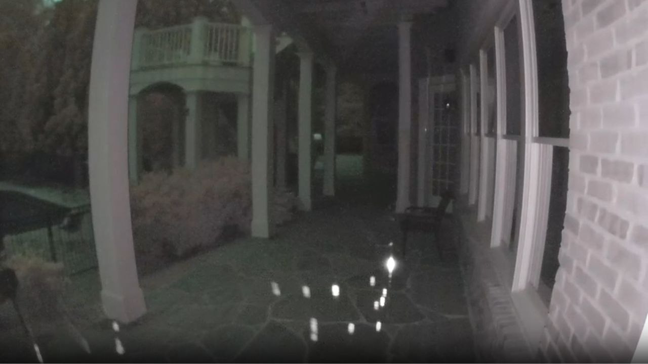 Ring doorbell camera catches bizarrely fascinating sight outside the ...