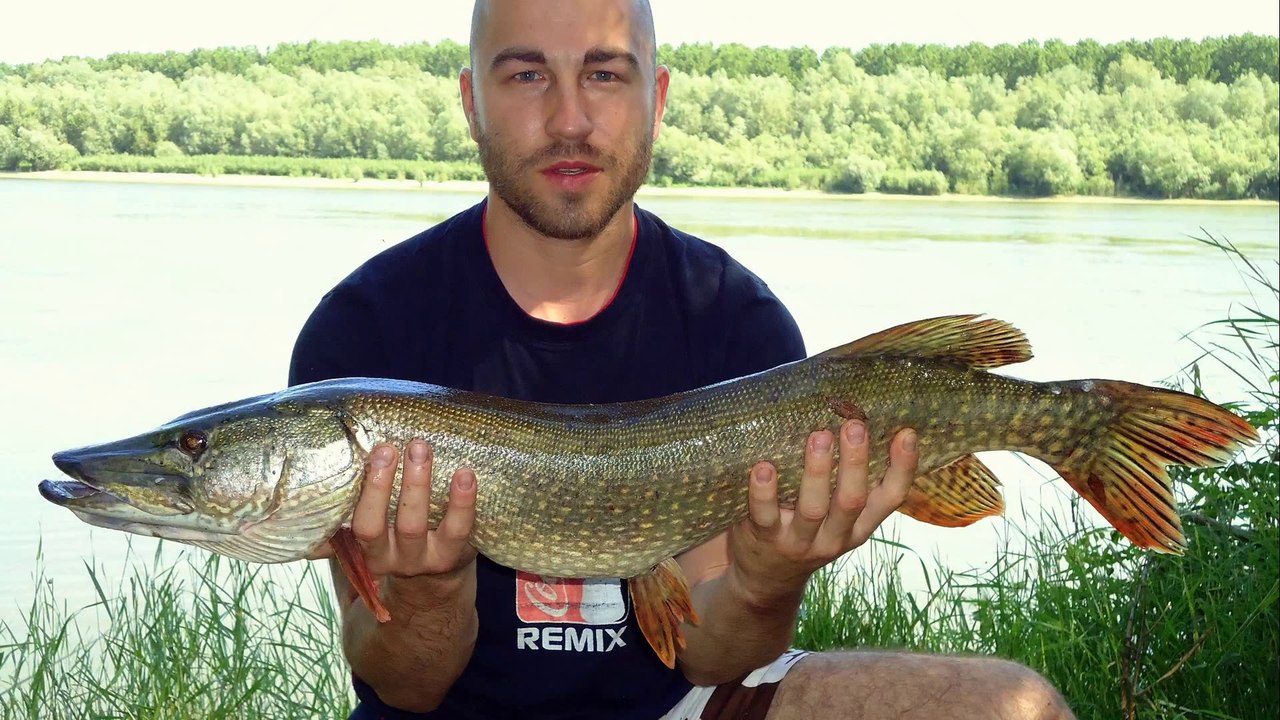 Danube fishing for catfish and pike (opening) - video Dailymotion