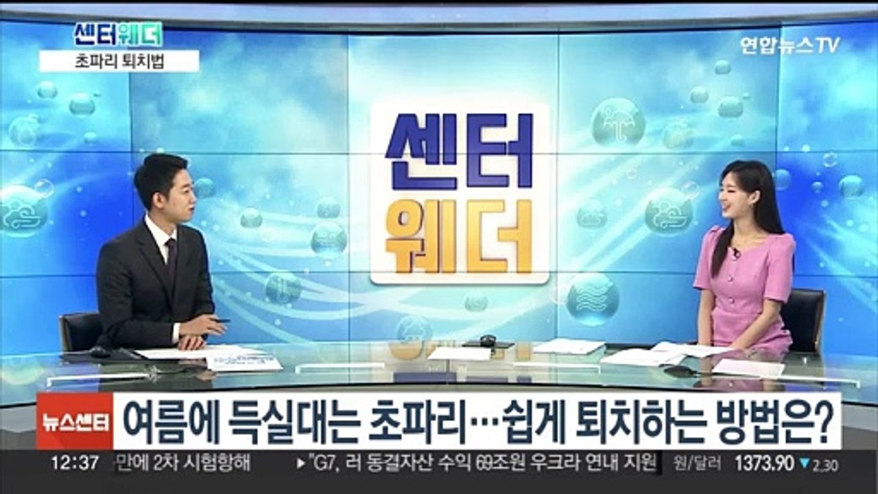 [센터웨더] 여름에 득실대는 초파리…쉽게 퇴치하는 방법은? - 동영상 Dailymotion