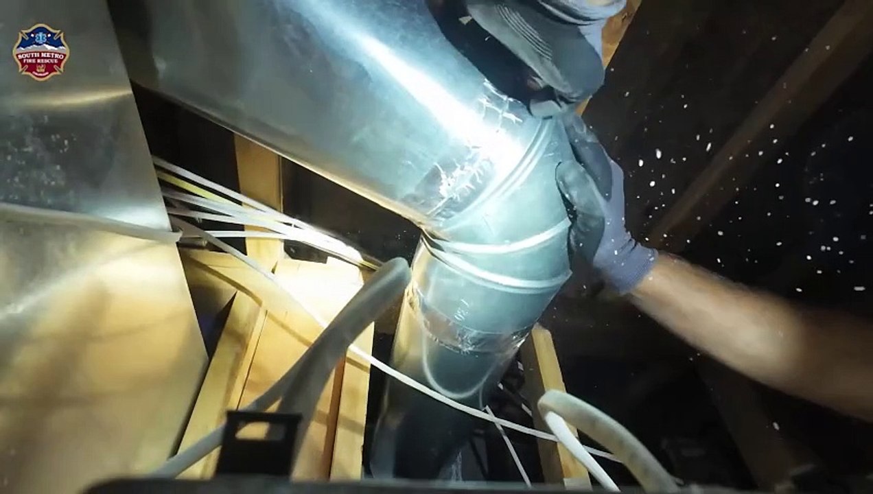 Sauvetage héroïque : Archie Bean, le chiot, secouru des conduits de ...