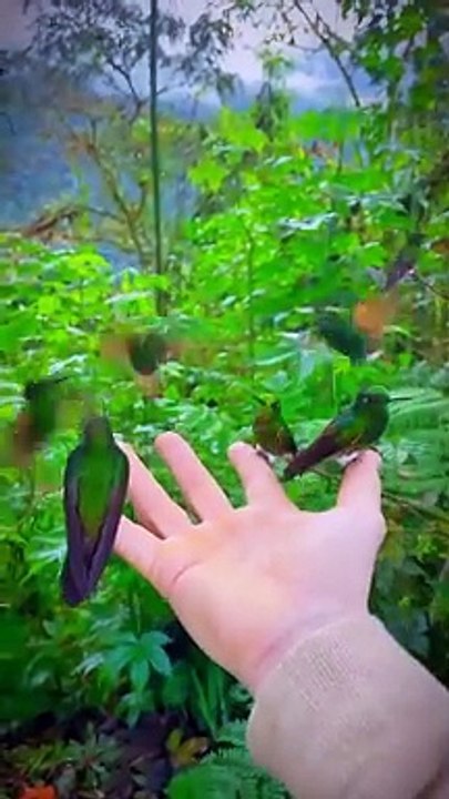 Sappal Tilawat Quran be - video Dailymotion