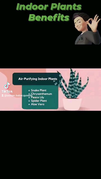 #learning with Usman#plants #nature #health #reels #trendingreels # ...