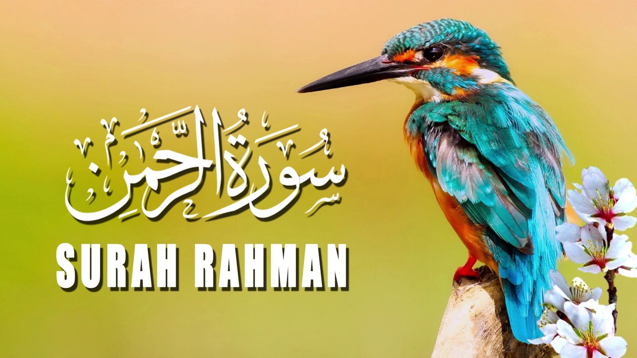 Surah Rahman | Beautiful and Heart Trembling Quran Recitation ( سورة ...
