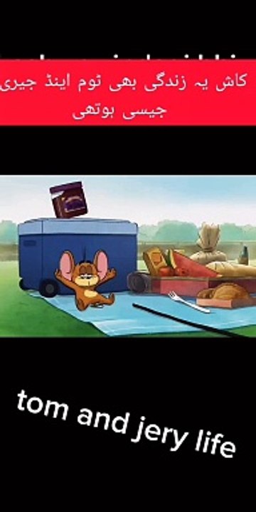 Tom and Jerry life I like Tom and Jerry life - video Dailymotion