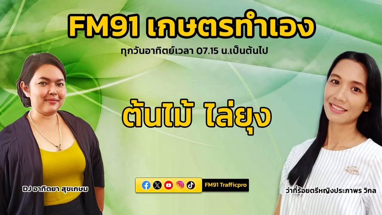 ต้นไม้ไล่ยุง : FM91 เกษตรทำเอง : 16 มิถุนายน 2567 - video Dailymotion
