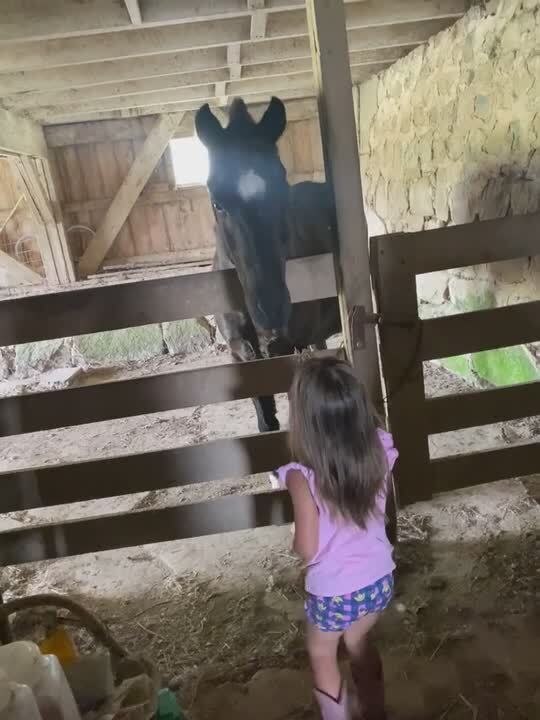 Little Girl is Grossed Out by Horse Slobbering on Her Hand - video ...