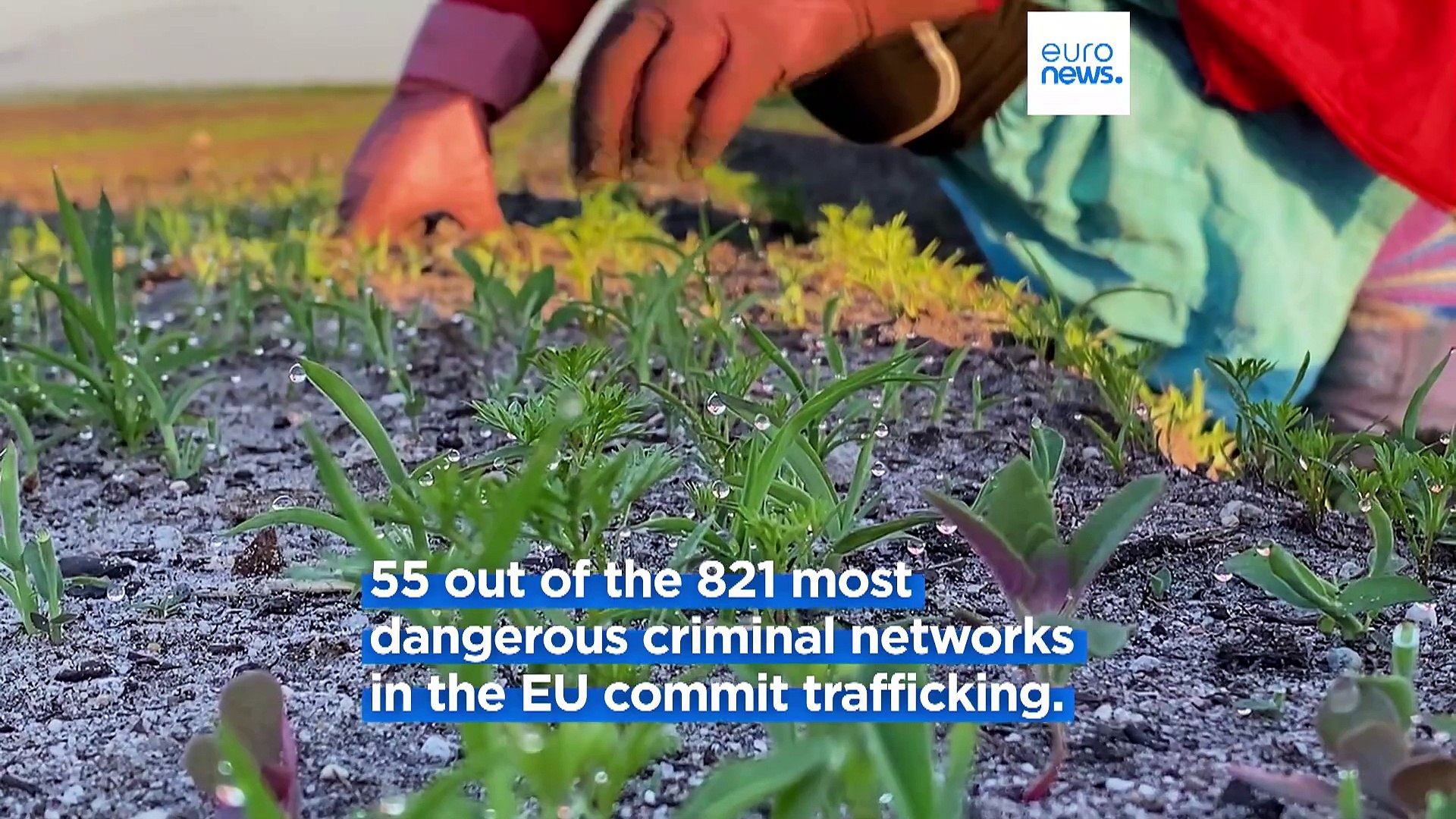 Ylva Johansson Impunity Is Over For Human Trafficking In The